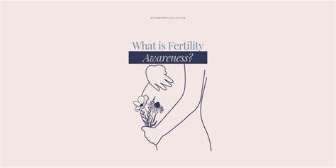 A Guide To Understanding Fertility The Mindful Collective