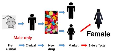 Sex As An Important Biological Variable In Biomedical Research