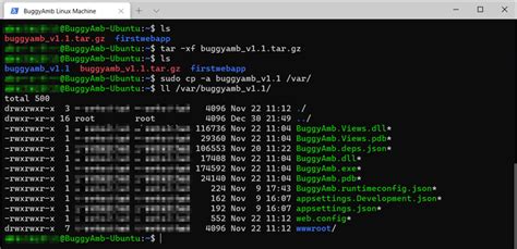 copy and extract files from development environment to linux asp