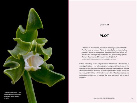 Demystifying Orchid Pollination By Adam P Karremans Stories Of Sex
