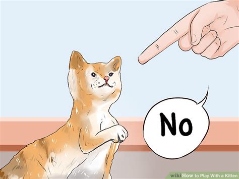 3 Ways To Play With A Kitten Wikihow