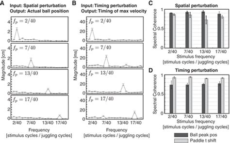 Contrôle Par Le Stimulus