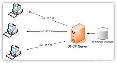 آموزش راه اندازی Dhcp Server در میکروتیک آموزش شبکه نتیتو