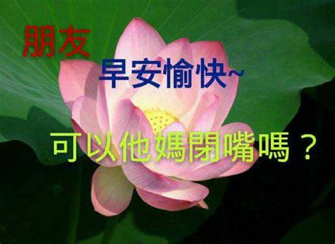 長輩圖 Meme 梗圖倉庫
