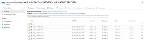 use virtual entities to show cds snapshot data from data lake blog