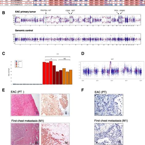 Tp53 P Arg282trp Mutation A Representation Of The Tp53 Mutation