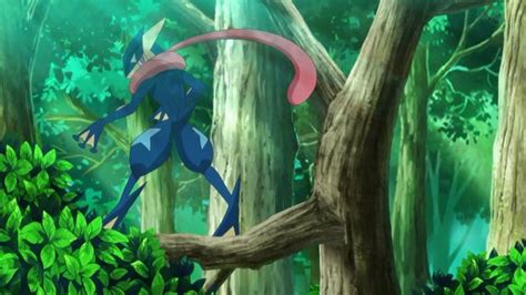 おたすけ On Twitter ゲッコウガくん、ルカリオのファンじゃん………… Anipoke アニポケ