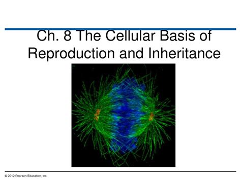 Ch 8 The Cellular Basis Of Reproduction And Inheritance Ppt Download