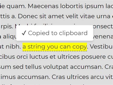 copy to clipboard interaction with javascript and css css script