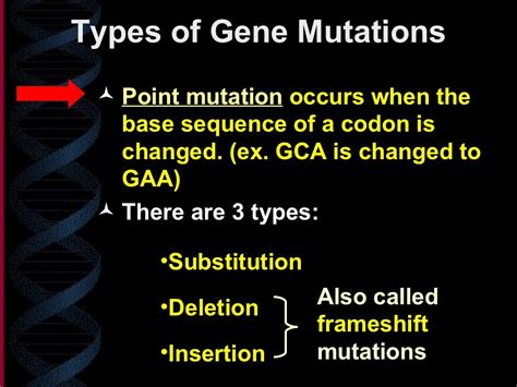 Gene Mutations Ppt