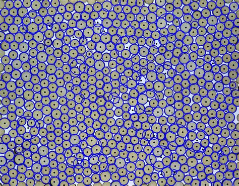 python imageprocessing find the center of the circle in a jpeg image