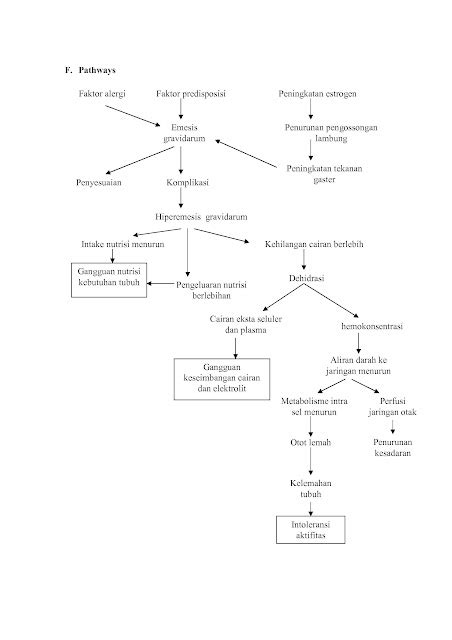 Patofisiologi Dan Pathway Hemoroid