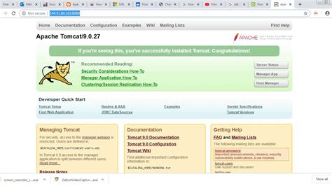 convert domain name to ip address java dmainname