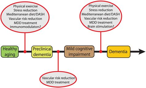 Strategies For Dementia Prevention Latest Evidence And Implications