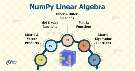 numpy linear algebra and matrix functions dataflair