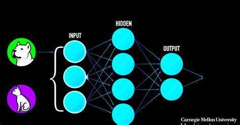 beginners guide cnn image classifier part 1
