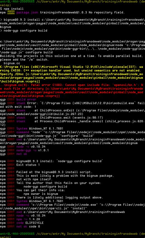 node js how to install npm to work on github stack overflow
