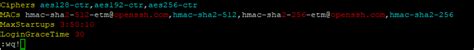 powerprotect dp series appliances and idpa security vulnerability