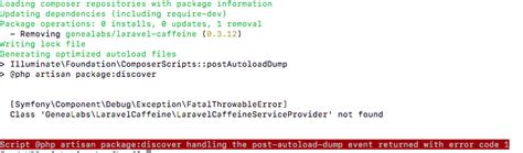 problems with the installation · issue 44 · genealabs laravel caffeine