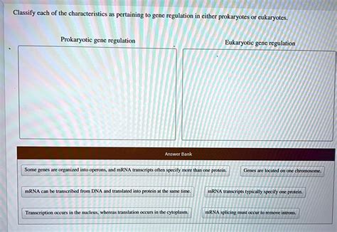 Solved Classify Each Of The Characteristics As Pertaining To Gene