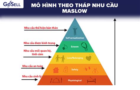 Hành Vi Người Tiêu Dùng Bị ảnh Hưởng Bởi Những Yếu Tố Gì