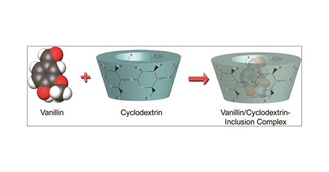 Molecular View Into The Cyclodextrin Cavity Structure And