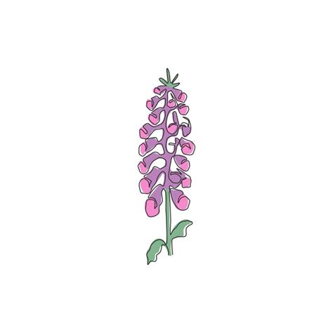 Premium Vector One Continuous Line Drawing Of Beauty Fresh Digitalis