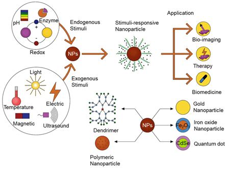Schematic Diagram Of Stimuli Responsive Nanomaterials Used For