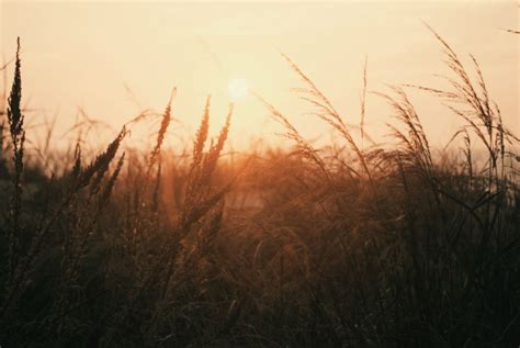 10 Simple Morning Routines For A Productive Successful And Healthy Day