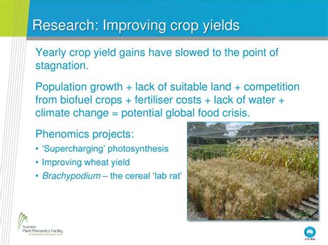 Ppt Plant Phenomics Powerpoint Presentation Free Download Id 5697822