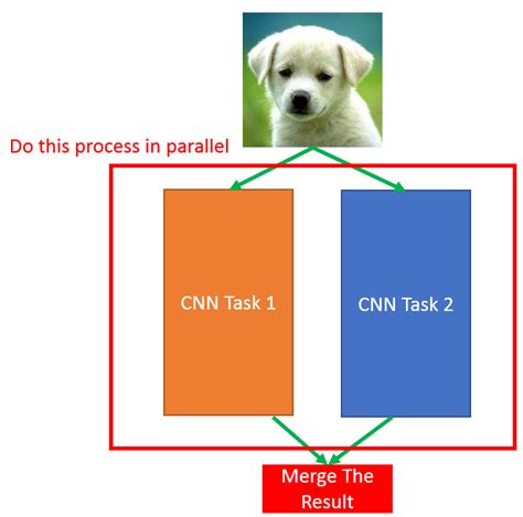 parallel process in pytorch vision pytorch forums