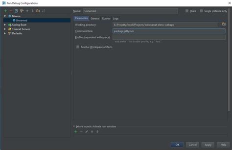 java vaadin applicagtion in maven gets widget error