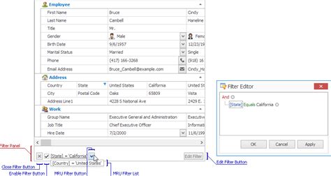 filter panel and filter editor winforms controls