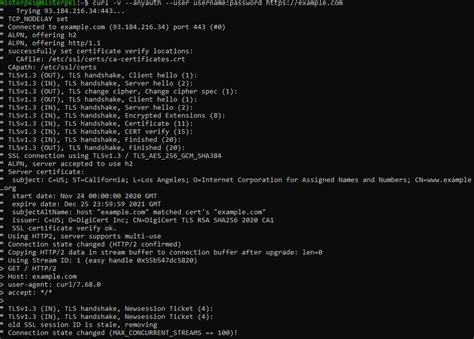 curl authentication certificate bearer token and basic auth