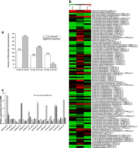 Of Transcriptome Expression During The Three Cultivation Periods A