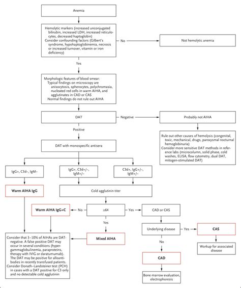 Autoimmune Hemolytic Anemias Nejm