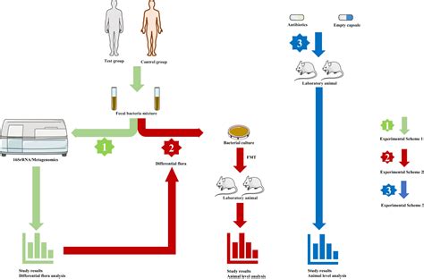 Frontiers Pitnets And The Gut Microbiota Potential Connections