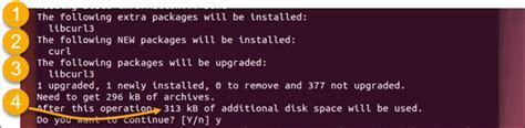 apt get command in linux {detailed tutorial with examples}