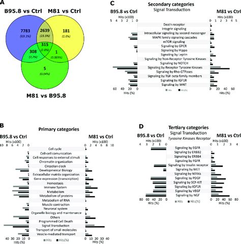 Analysis Of Target Genes From Differentially Expressed Mirnas In