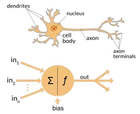 training neural network using pytorch by tasnuva zaman towards data