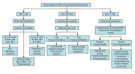Anaemia Simplifiedmed
