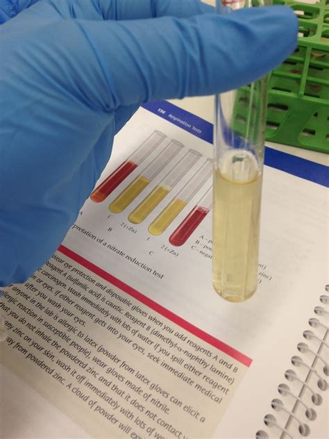 Microbiology Mania Nitrate Reduction Test {lab 8 May 21 2015}