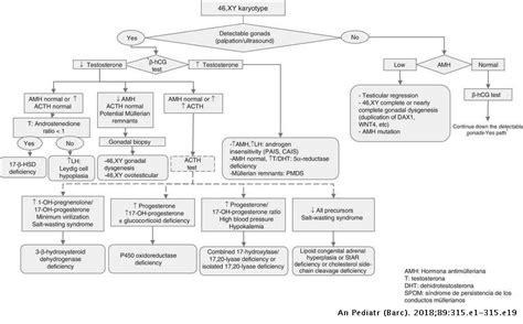management guidelines for disorders different sex development dsd