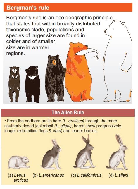 major abiotic components or factors organisms reproductive and population