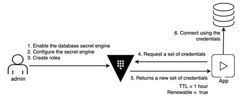 dynamic secrets database secrets engine vault hashicorp developer