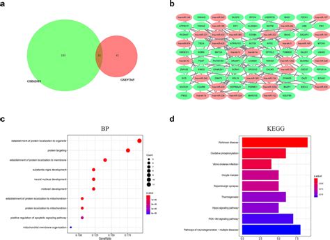 Analysis Of Mirna Mrna Interaction Network A Venn Diagram Of