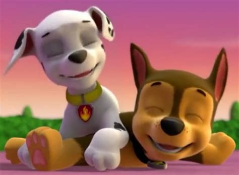 Chase And Marshall Paw Patrol Fan Universe Wiki Fandom