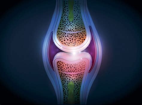 Synovial Fluid Diagram