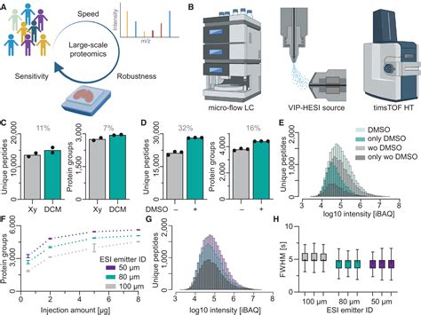A Region‐resolved Proteomic Map Of The Human Brain Enabled By High