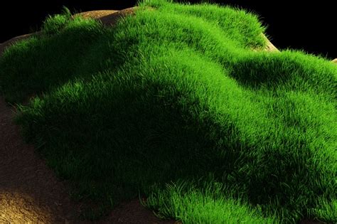 Rumput Hijau Padang Rumput Alami Realistis Untuk Desain Dan Lainlain